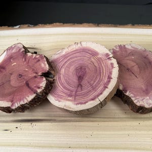 5”+ Red Cedar Wood Cookie Slices, Rounds, Rustic Centerpieces, Wood ...
