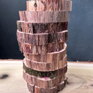 5”+ Red Cedar Wood Cookie Slices, Rounds, Rustic Centerpieces, Wood ...