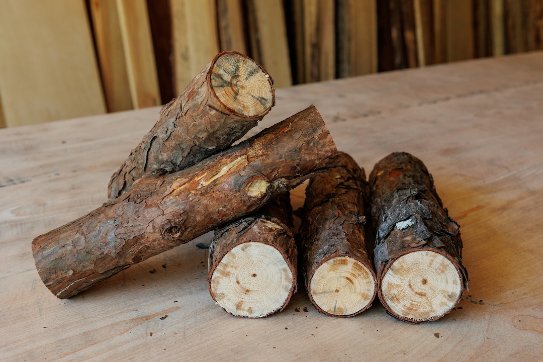 2 3 Organic Pine Tree Logs/stumps 9-10 Long Craft Wood Sticks/logs ...