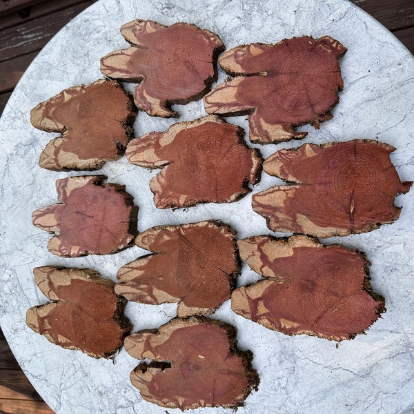 Irregular Wood Slice - Etsy