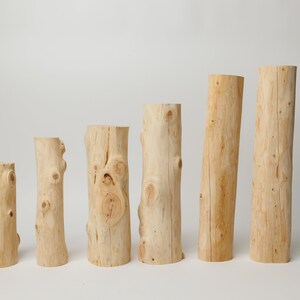 Debarked Cypress Tree Log Stumps | Rustic Wedding Decor | Rustic Table ...