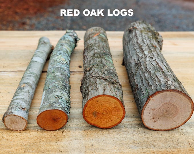 Fresh Green Wood Logs, Red Oak, Cherry, Pine, Poplar, Sweetgum for ...