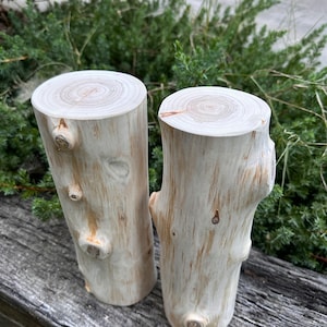 Debarked Cypress Tree Log Stumps | Rustic Wedding Decor | Rustic Table ...