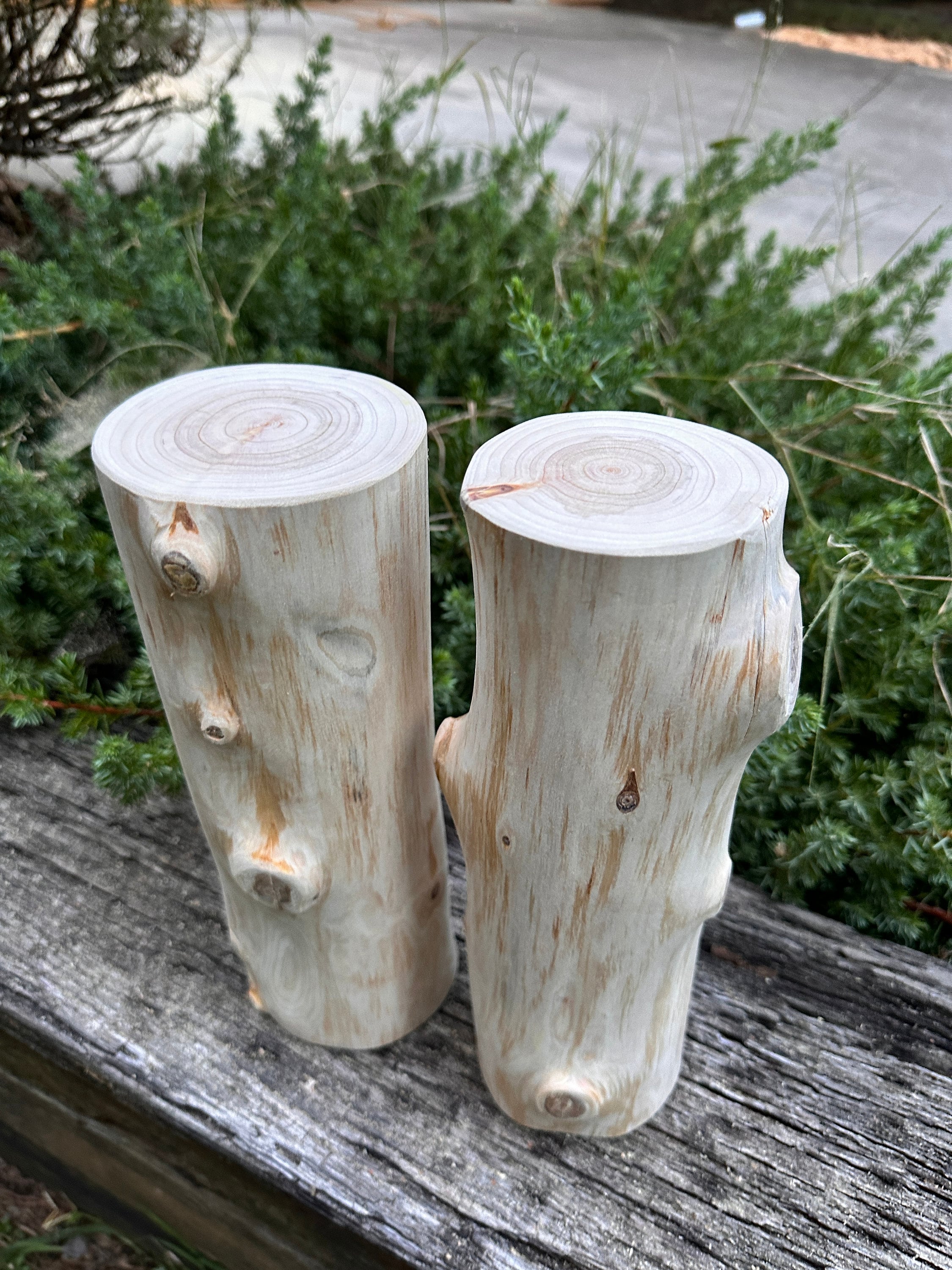 Debarked Cypress Tree Log Stumps Rustic Wedding Decor Rustic Table ...