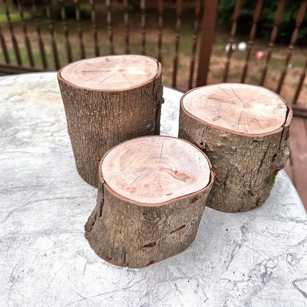 Wood Stump - Etsy