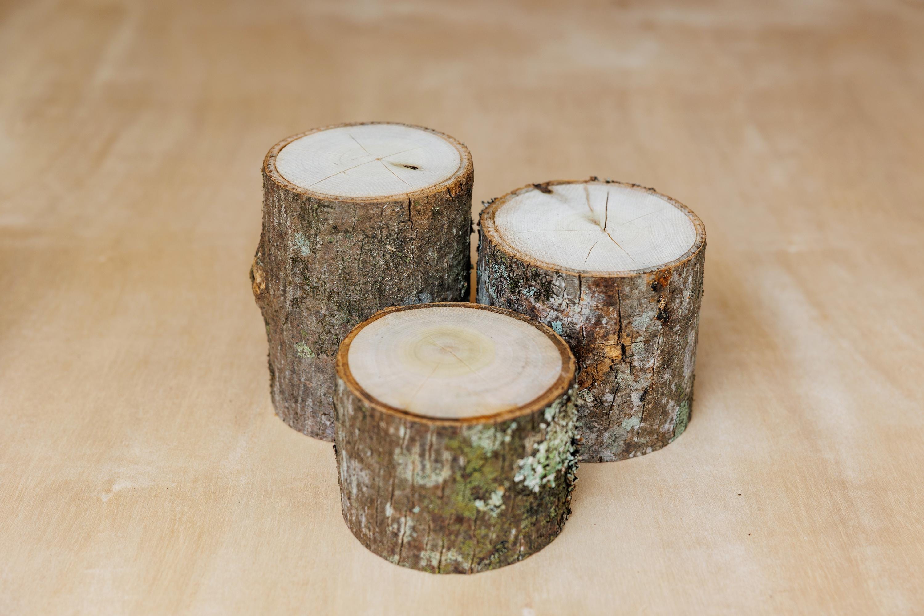 Tulip Poplar Wood Stumps Sets, Rustic Wedding Centerpieces, Organic ...