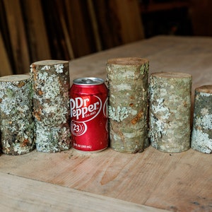 3" - 4" Red Oak Wood Stumps, Organic Rustic Log Stumps, Rustic Wedding ...