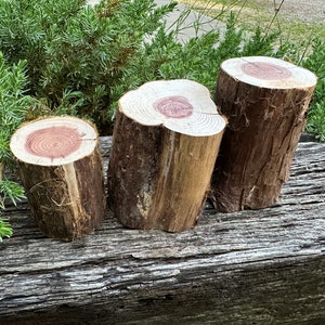 3 Organic Red Cedar Log Stumps | Rustic Wedding Decor | Rustic Table ...