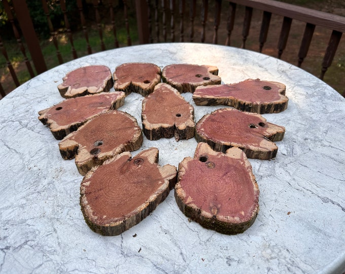 10 Weathered Red Cedar Wood Slices (#019) 4" - 5.5" Rounds, Irregular ...