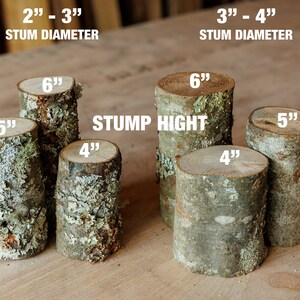 3" - 4" Red Oak Wood Stumps, Organic Rustic Log Stumps, Rustic Wedding ...