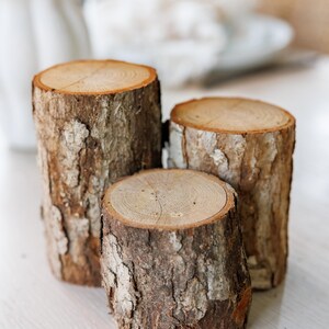 3" - 4" White Oak Wood Stumps, Rustic Wedding Centerpieces, Wedding ...
