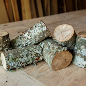 3" - 4" Red Oak Wood Stumps, Organic Rustic Log Stumps, Rustic Wedding ...