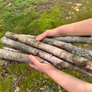10 Organic Oak Tree Logs/sticks 17" Long, 1-2" Wide | Craft Wood Sticks ...