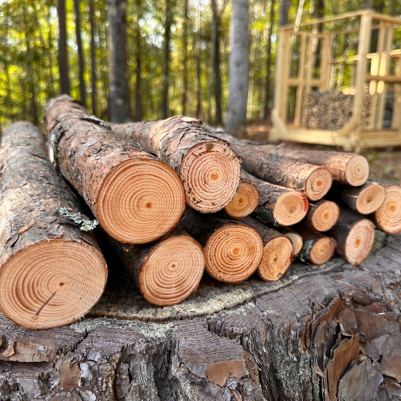 Rustic Log Decor - Etsy