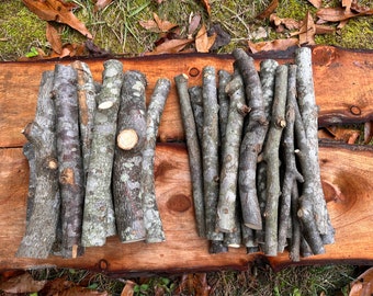 10 Organic Oak Tree Logs/sticks 17" Long, 1-2" Wide | Craft Wood Sticks ...