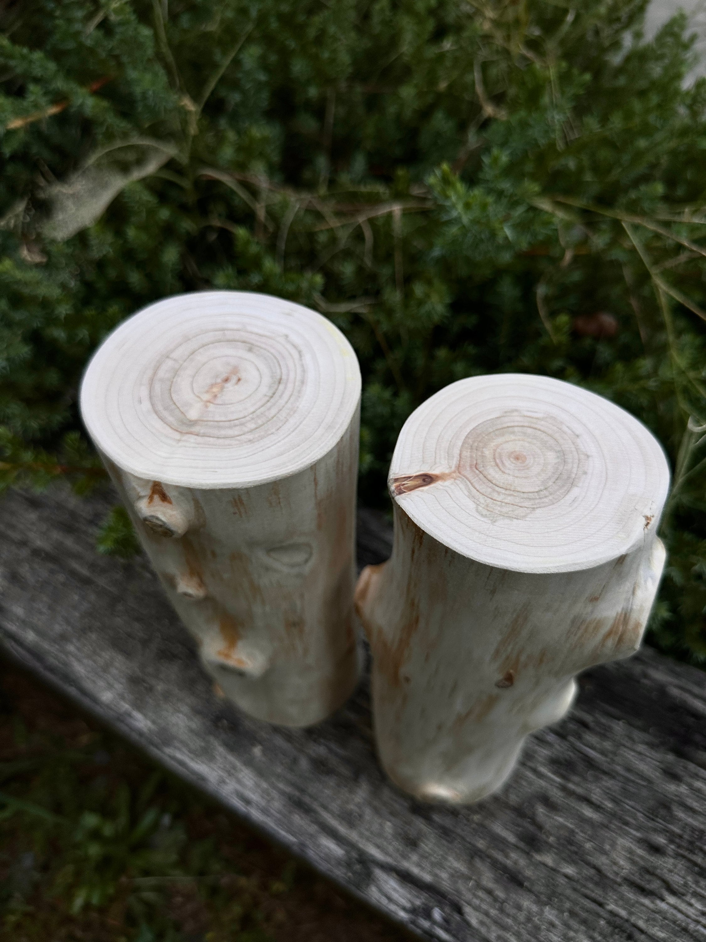 Debarked Cypress Tree Log Stumps Rustic Wedding Decor Rustic Table ...
