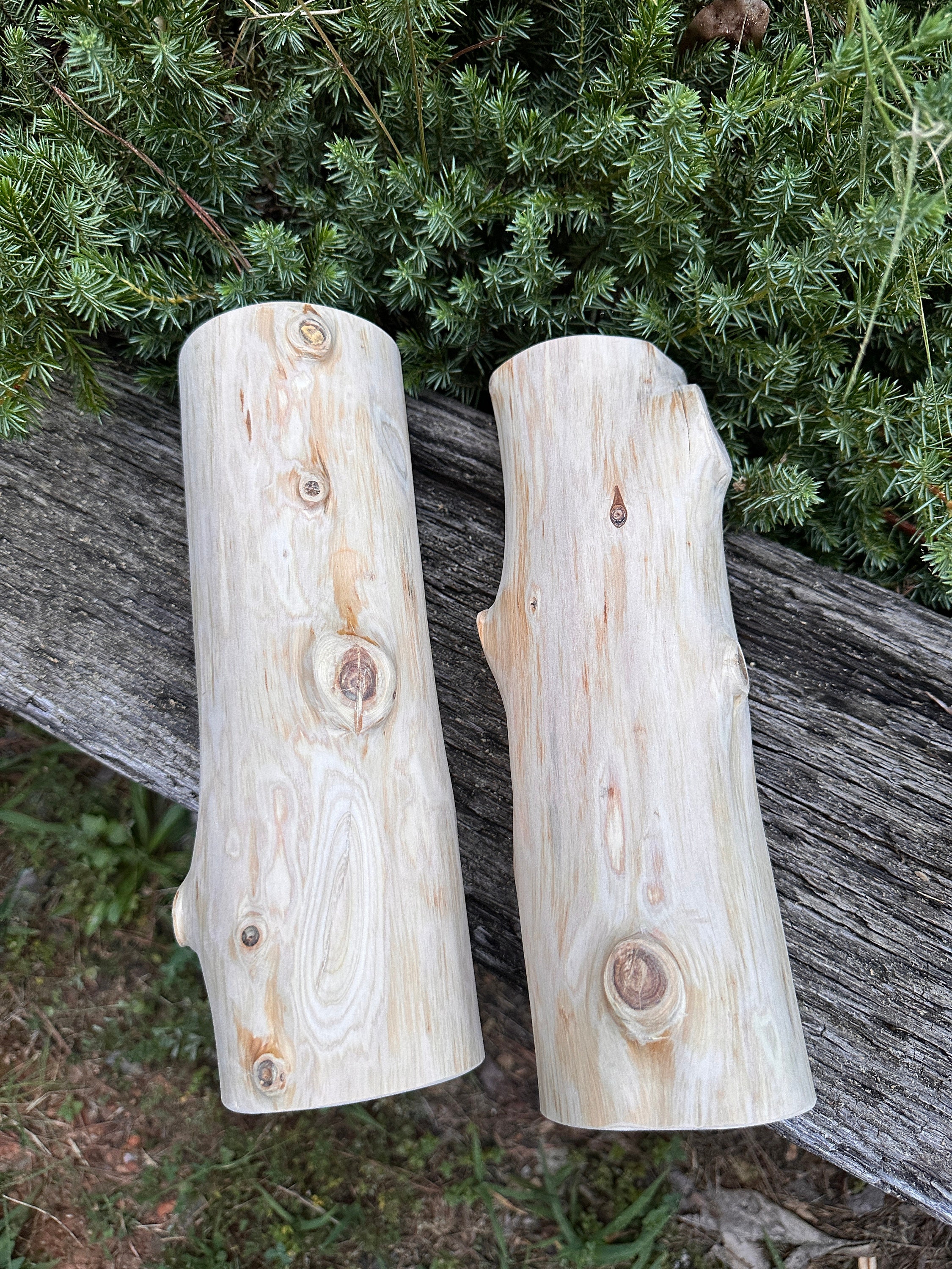 Debarked Cypress Tree Log Stumps Rustic Wedding Decor Rustic Table ...