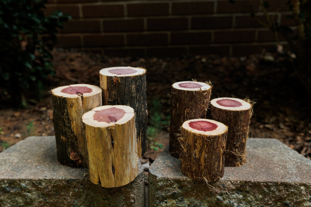 Organic Red Cedar Log Stumps Set of 3 Rustic Wedding Rustic Table ...
