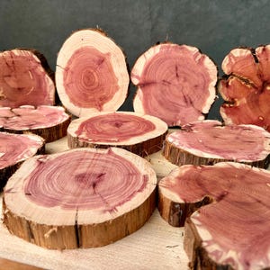 5”- 8" Red Cedar Wood Cookie Slices, Rounds, Rustic Centerpieces, Wood ...