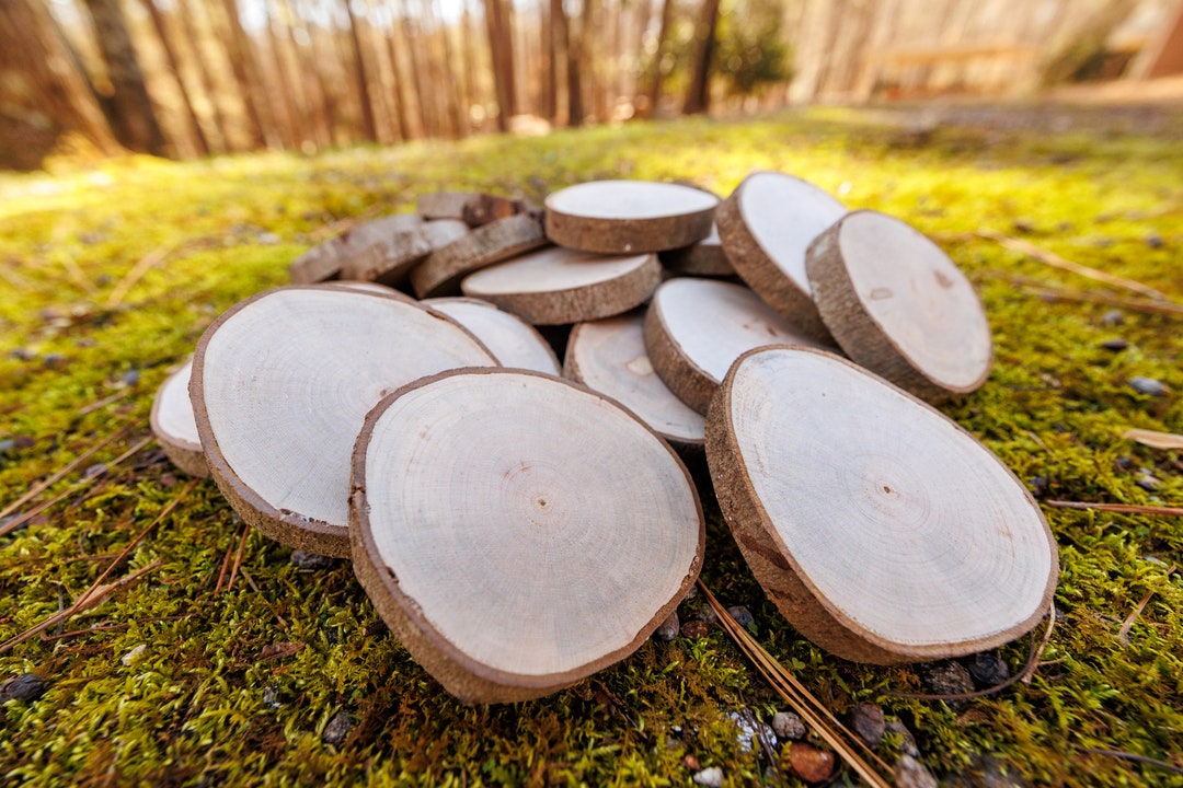 3"-4"+ Maple Wood Slices, Wood Cookies, Wedding Table Decor ...