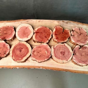 5”- 8" Red Cedar Wood Cookie Slices, Rounds, Rustic Centerpieces, Wood ...