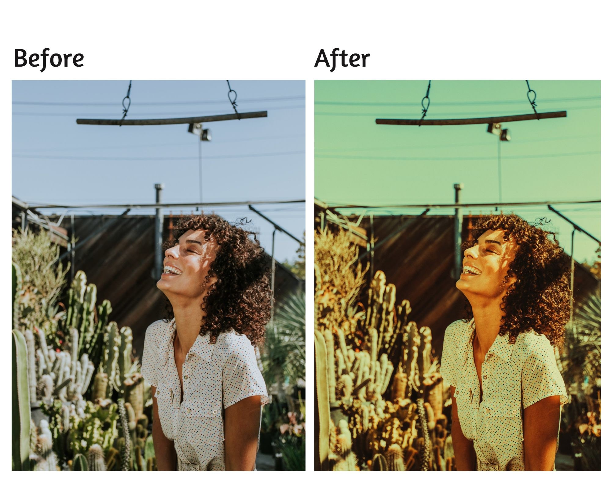 50 WARM ANALOG Film Luts Pack for Color Grading Video Filters, Video ...