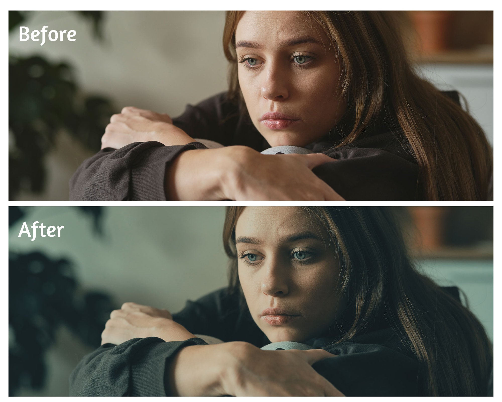 40 Cinematic Film Grade Luts Pack for Color Grading | Video and Photo ...