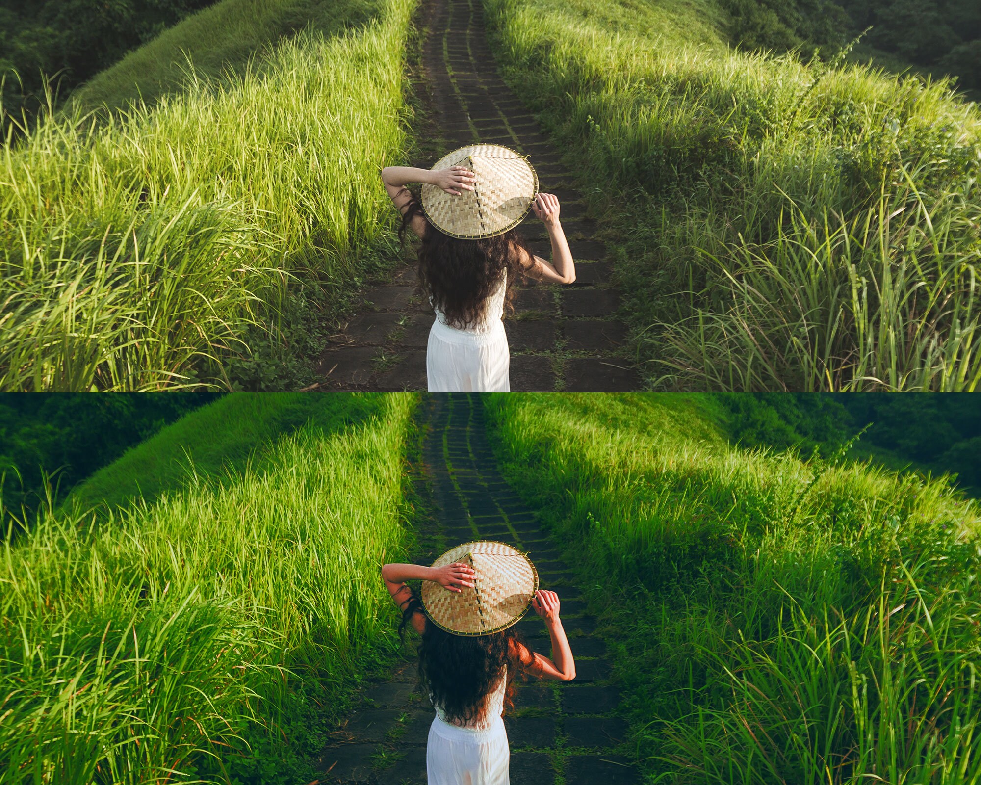 15 Nature Luts Pack for Color Grading | Video Editing, Mobile Video ...