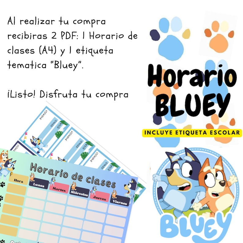 Class Timetable "bluey" Theme Includes Bluey School Label and Bingo - Etsy
