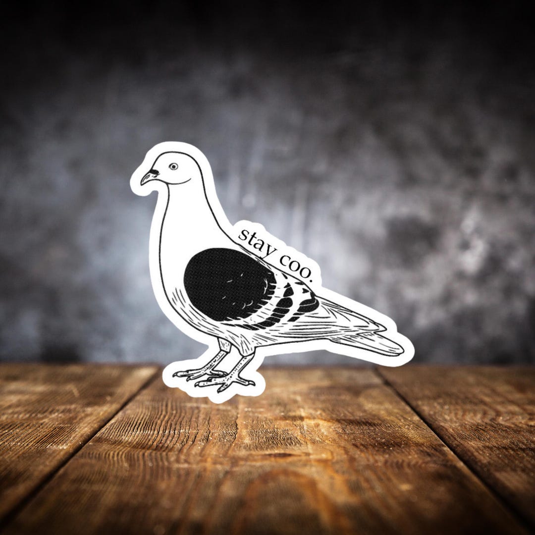 Stay Coo Sticker Die Cut Sticker Funny Sticker Sarcastic Sticker ...