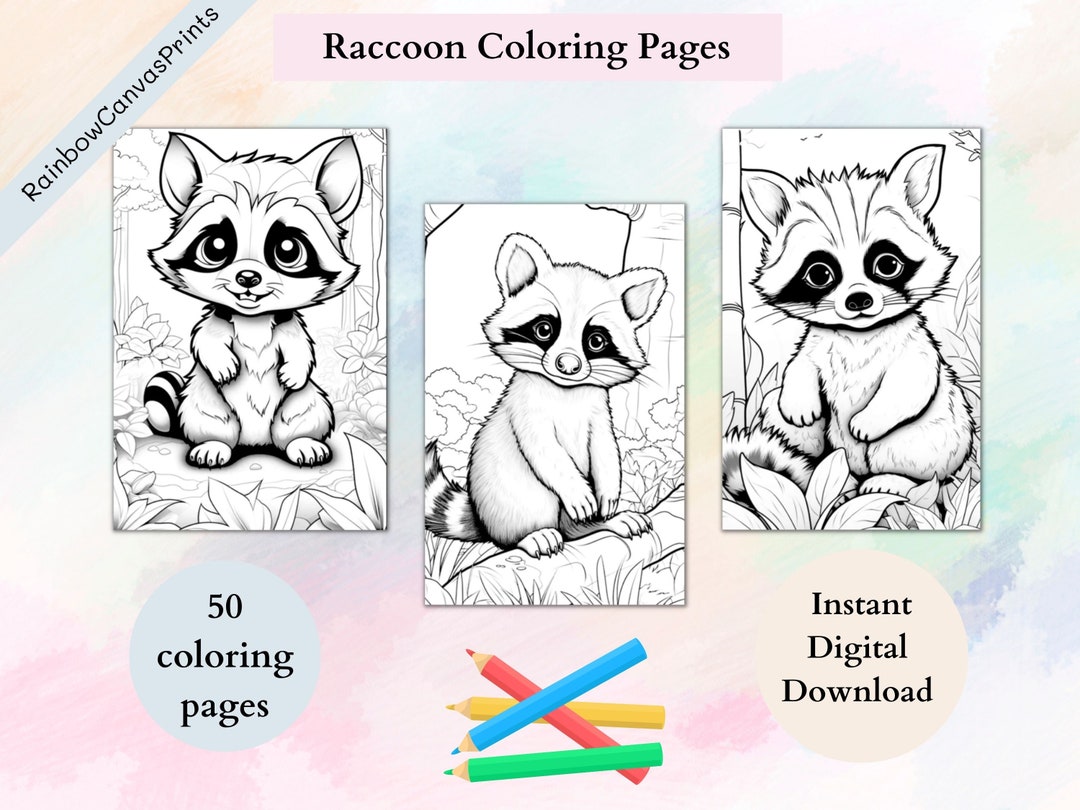 50 Pages Raccoon Coloring Pages for Children, Animals Printable ...