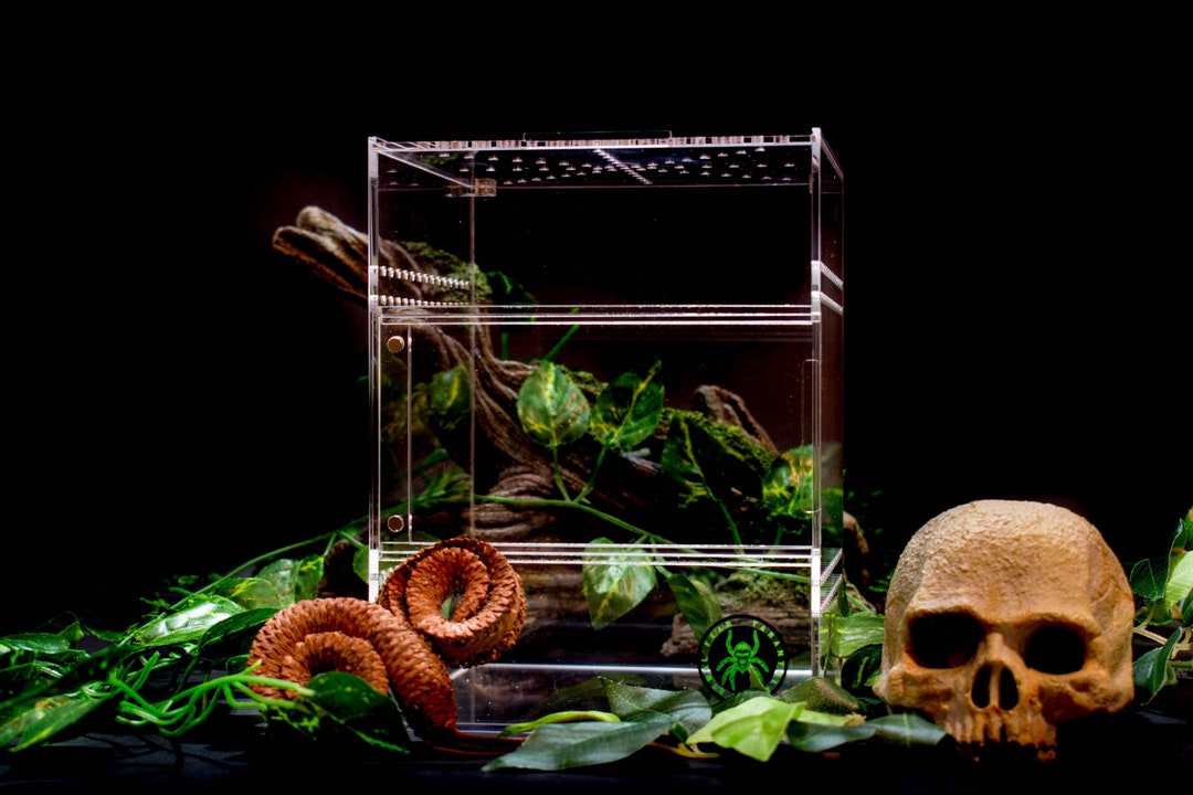 Large Jumping Spider Enclosure Free Shipping - Etsy