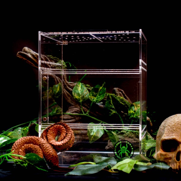Jumping Spider Enclosure - Etsy