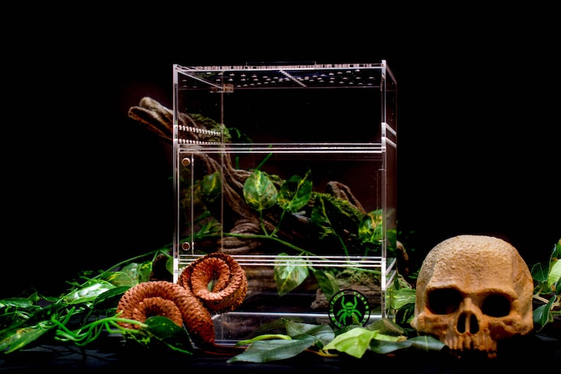 Large Jumping Spider Enclosure Free Shipping - Etsy