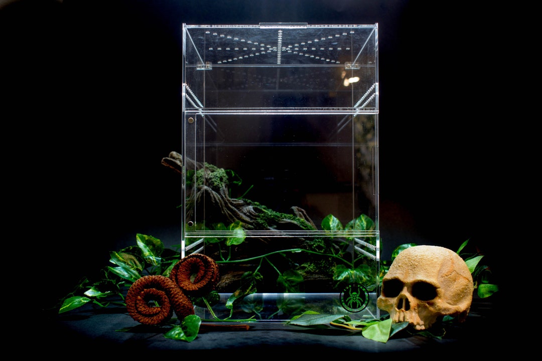 XL Spider Enclosure Free Shipping - Etsy