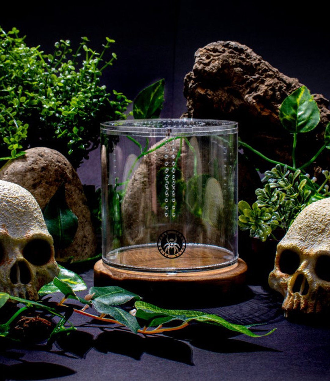Jumping Spider / Tarantula Enclosure 4 Round Free Shipping - Etsy