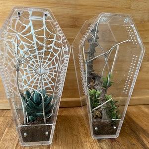 Jumping Spider Coffin Enclosure Free Shipping - Etsy