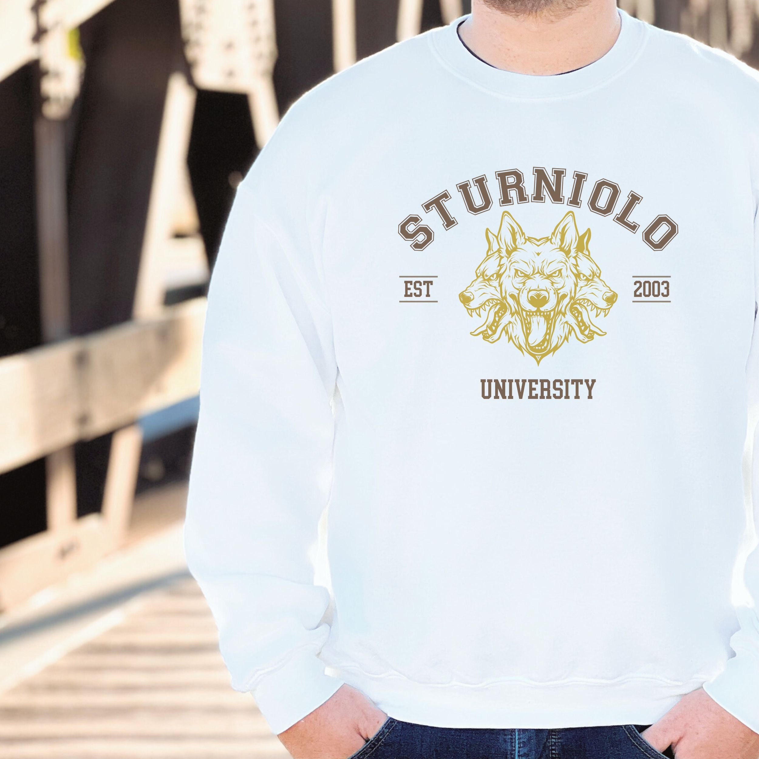 Sturniolo Triplets Sturniolo University Sweatshirt Chris Sturniolo Matt ...