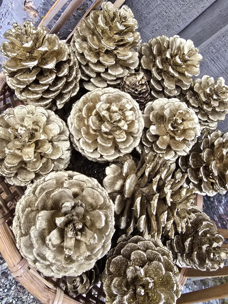 12 Gold Metallic Pine Cones: Hand-painted Holiday Decor - Etsy