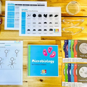 STEM Microbiology Educational Worksheets, Book and Cards Bundle for ...