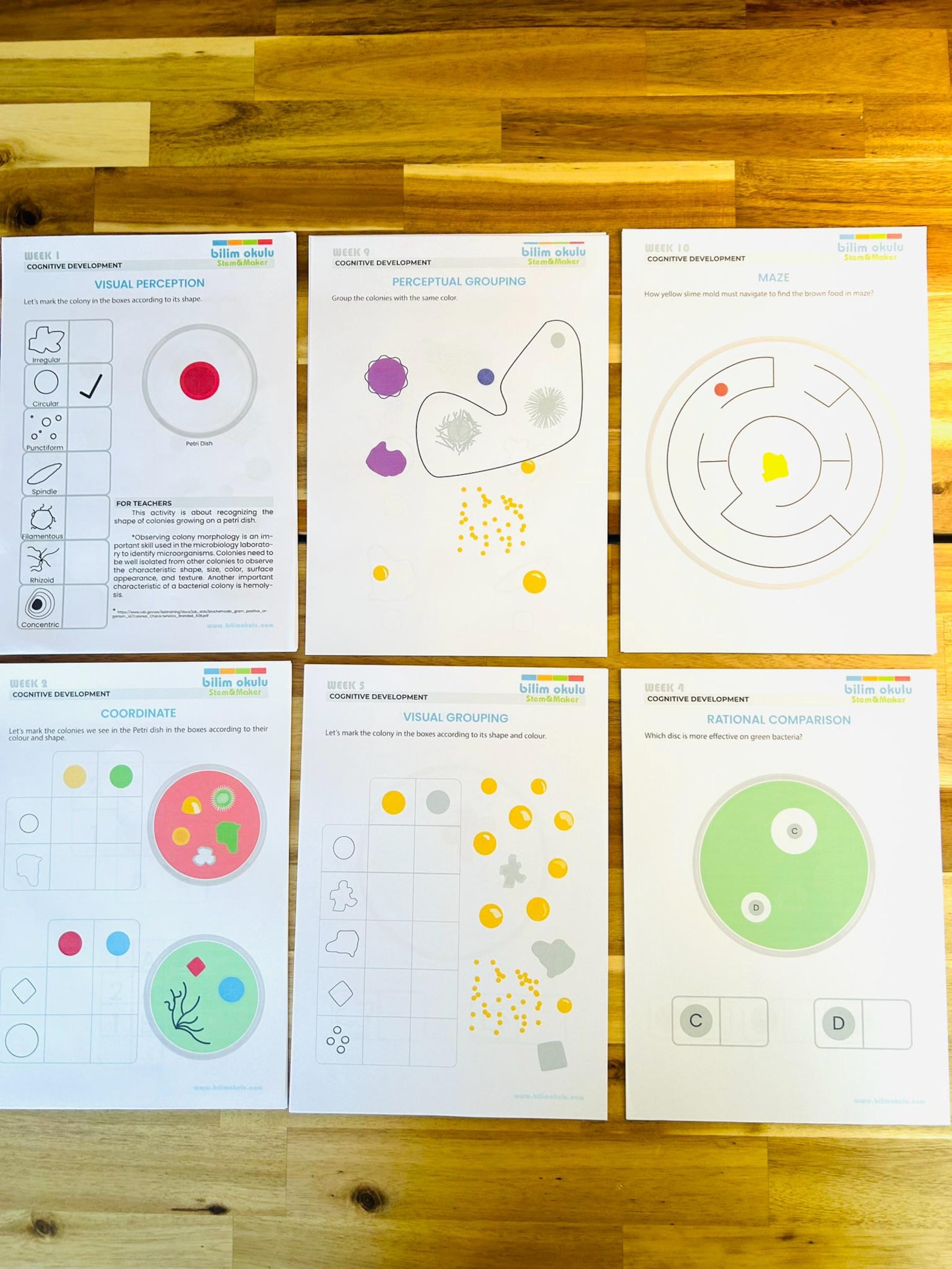 STEM Microbiology Educational Worksheets, Book and Cards Bundle for ...