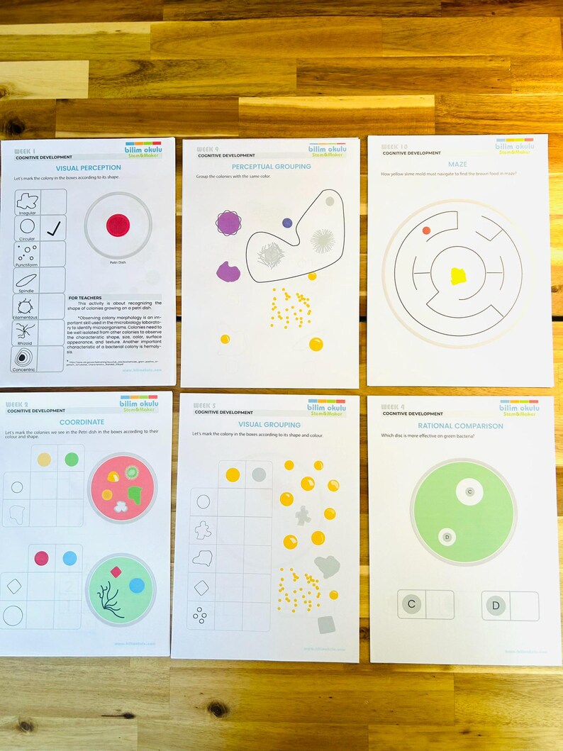 STEM Microbiology Educational Worksheets, Book and Cards Bundle for ...