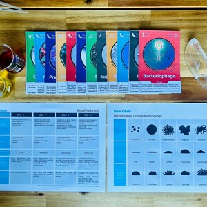 STEM Microbiology Educational Worksheets, Book and Cards Bundle for ...