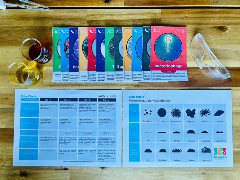 STEM Microbiology Educational Worksheets, Book and Cards Bundle for ...