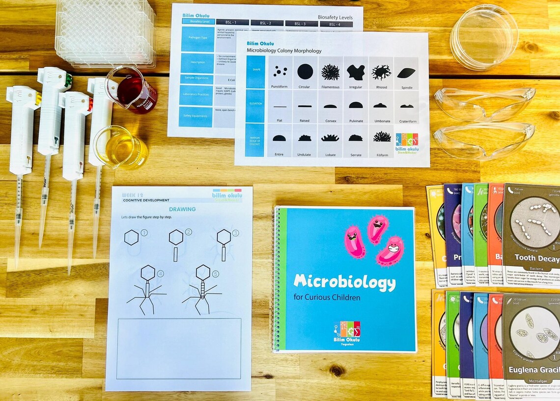 STEM Microbiology Educational Worksheets, Book and Cards Bundle for ...