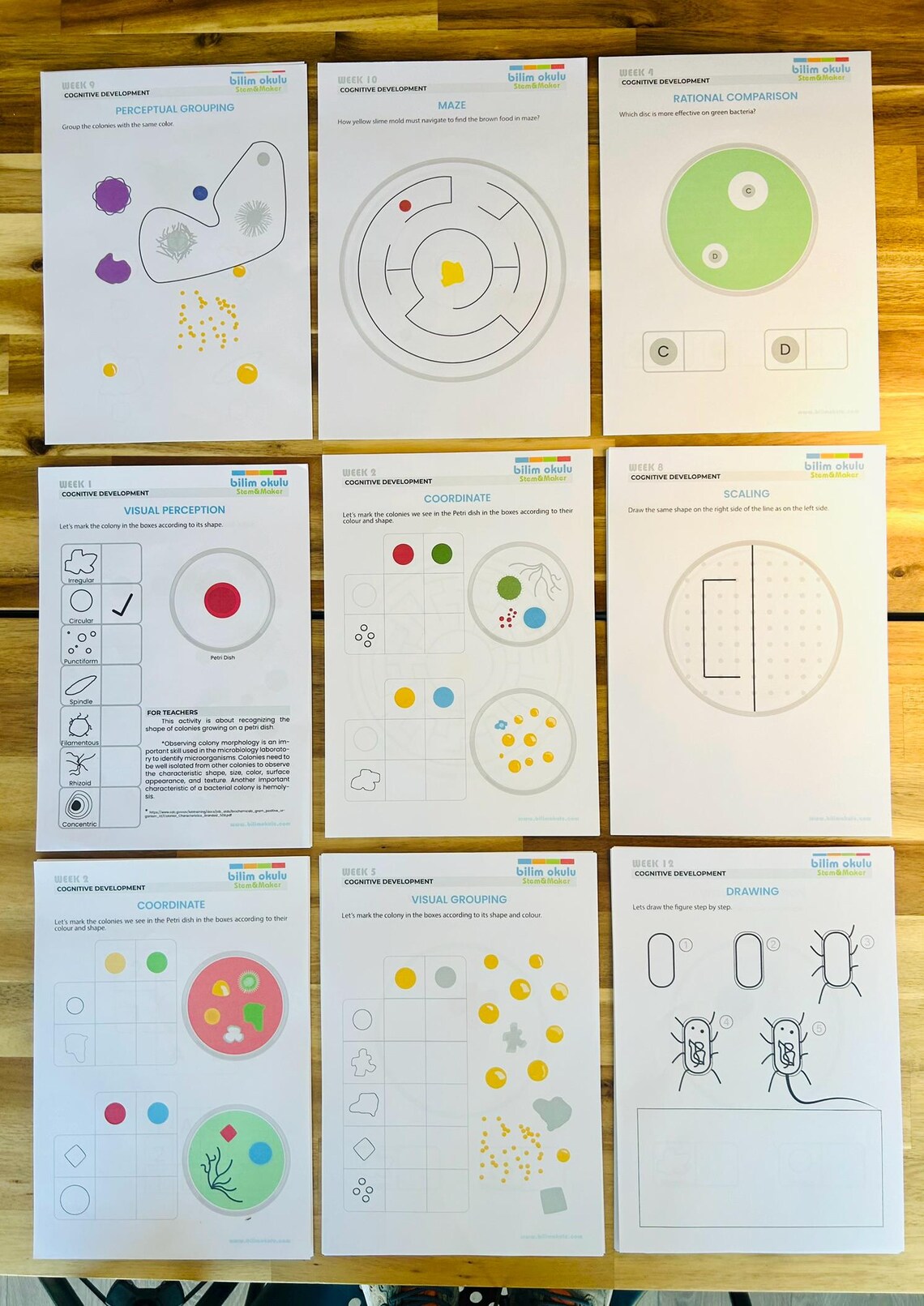 STEM Microbiology Educational Worksheets, Book and Cards Bundle for ...