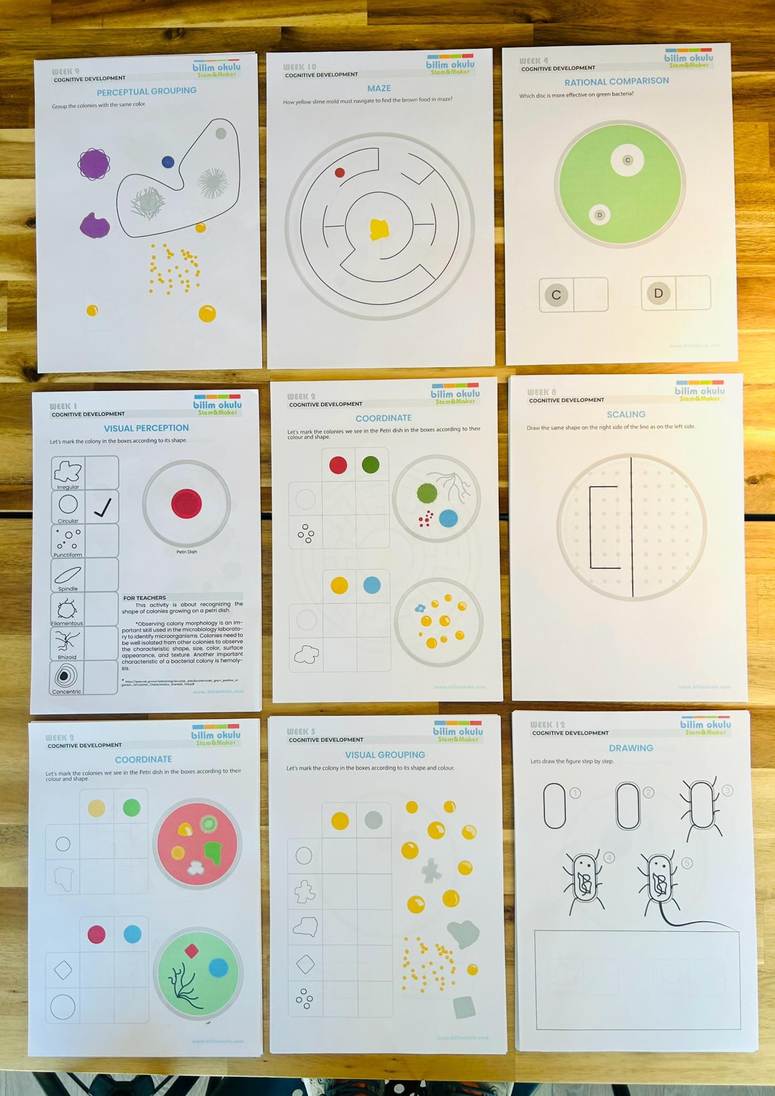 STEM Microbiology Educational Worksheets, Book and Cards Bundle for ...