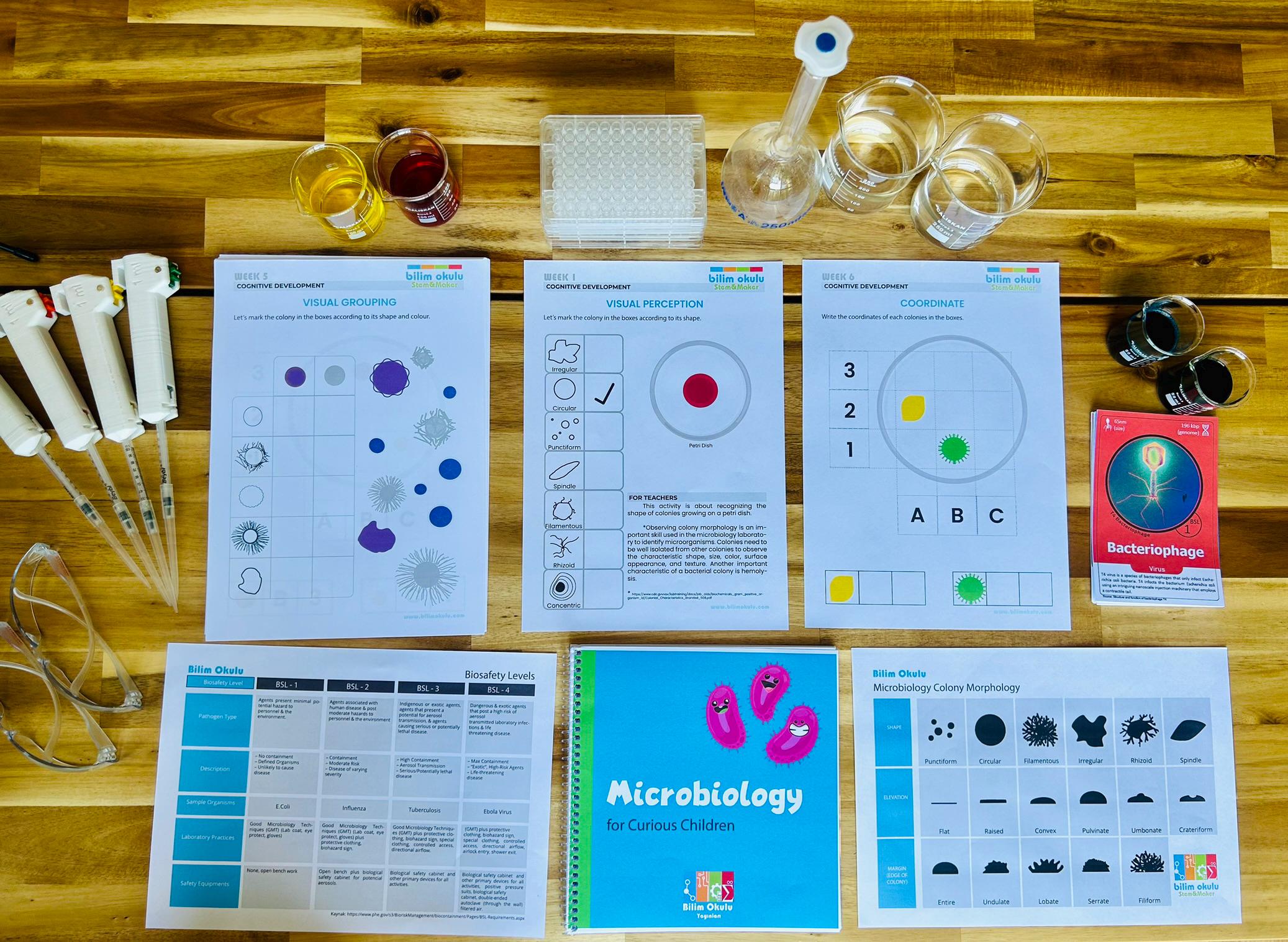 STEM Microbiology Educational Worksheets, Book and Cards Bundle for ...