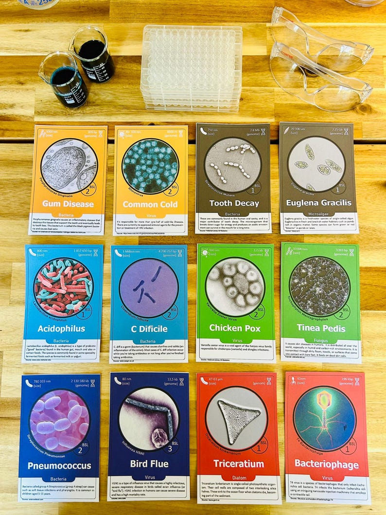 STEM Microbiology Educational Worksheets, Book and Cards Bundle for ...