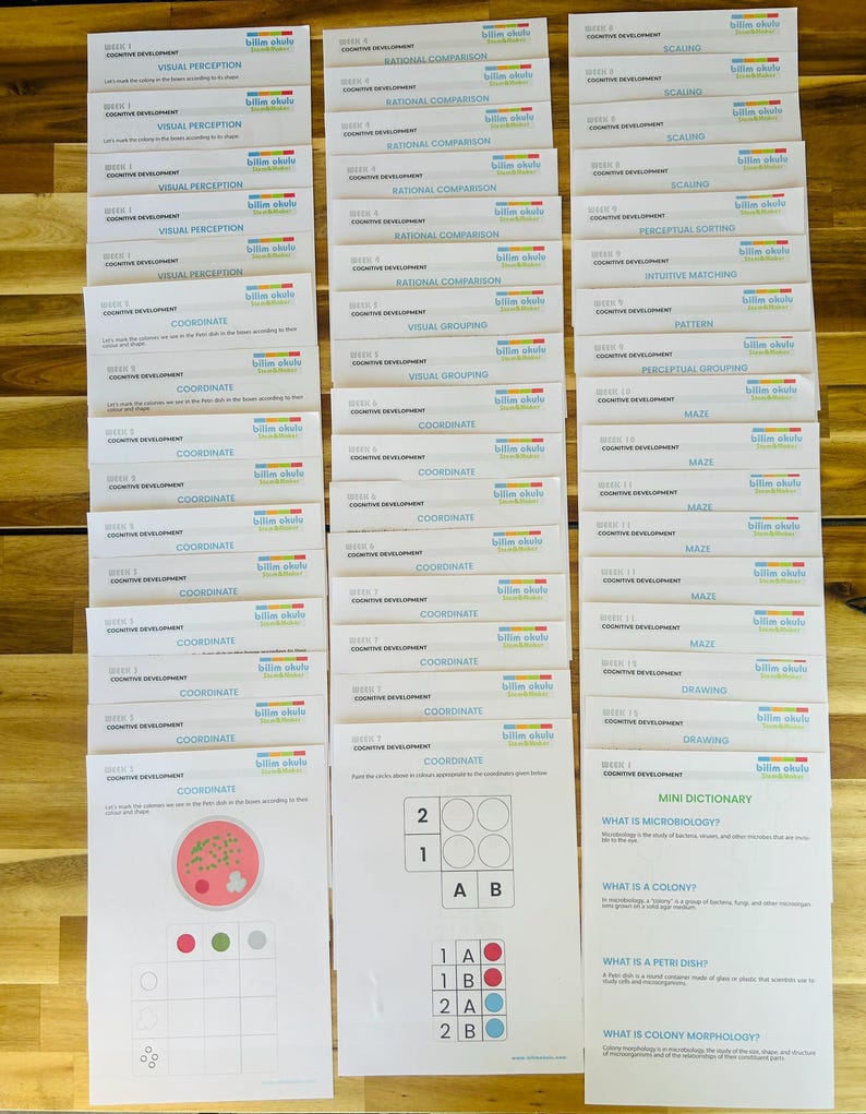 STEM Microbiology Educational Worksheets, Book and Cards Bundle for ...